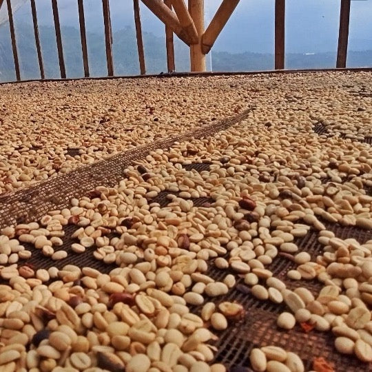 株式会社Rational Idea 公式オンラインストア