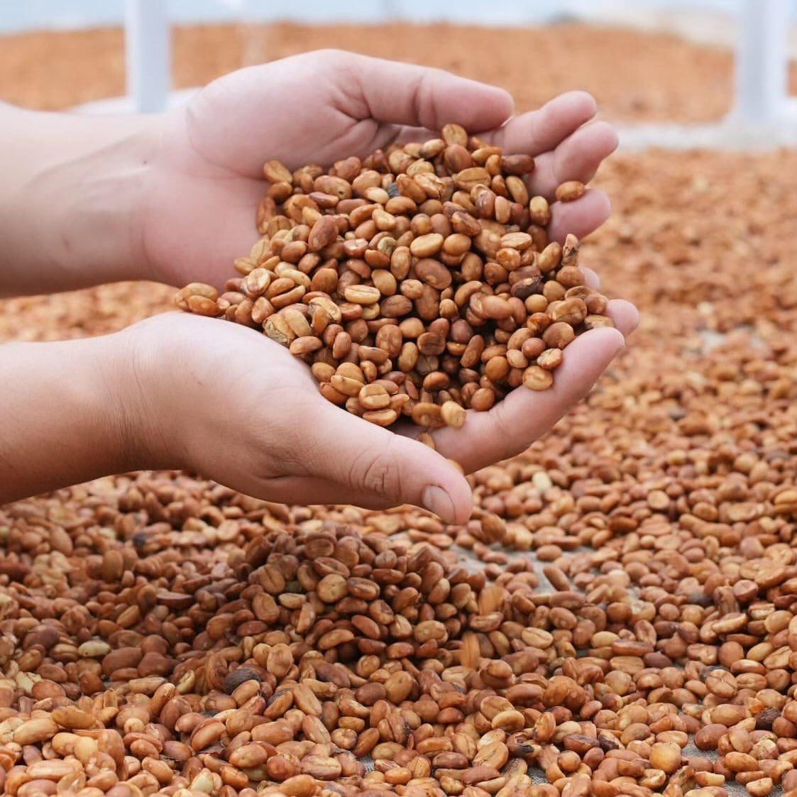 株式会社Rational Idea 公式オンラインストア